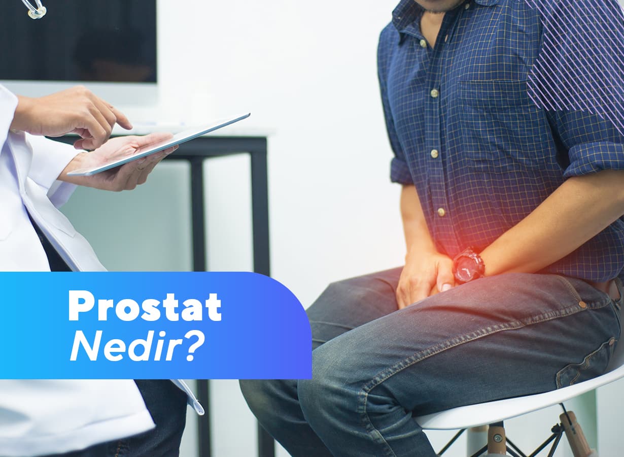Prostat Nedir? | Op.Dr Mücteba Gündüz