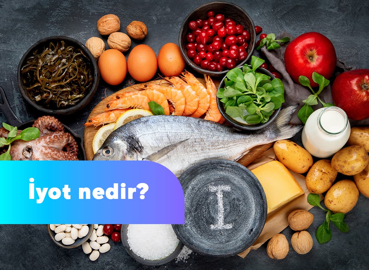 İyot Nedir? İyot Eksikliği Belirtileri Nelerdir? | Op.Dr Mücteba Gündüz