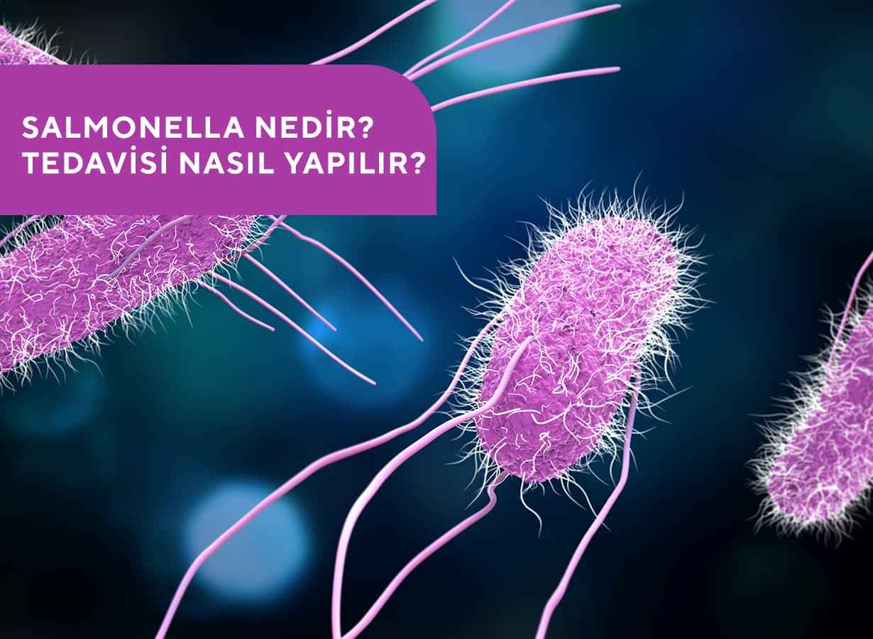 Salmonella Nedir? Tedavisi Nasıl Yapılır? - Mücteba Gündüz